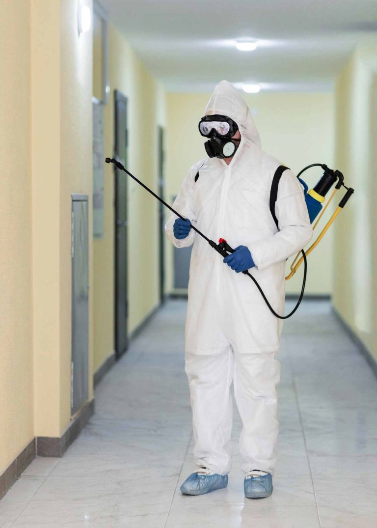 About Us – Safeguard Services, Inc.